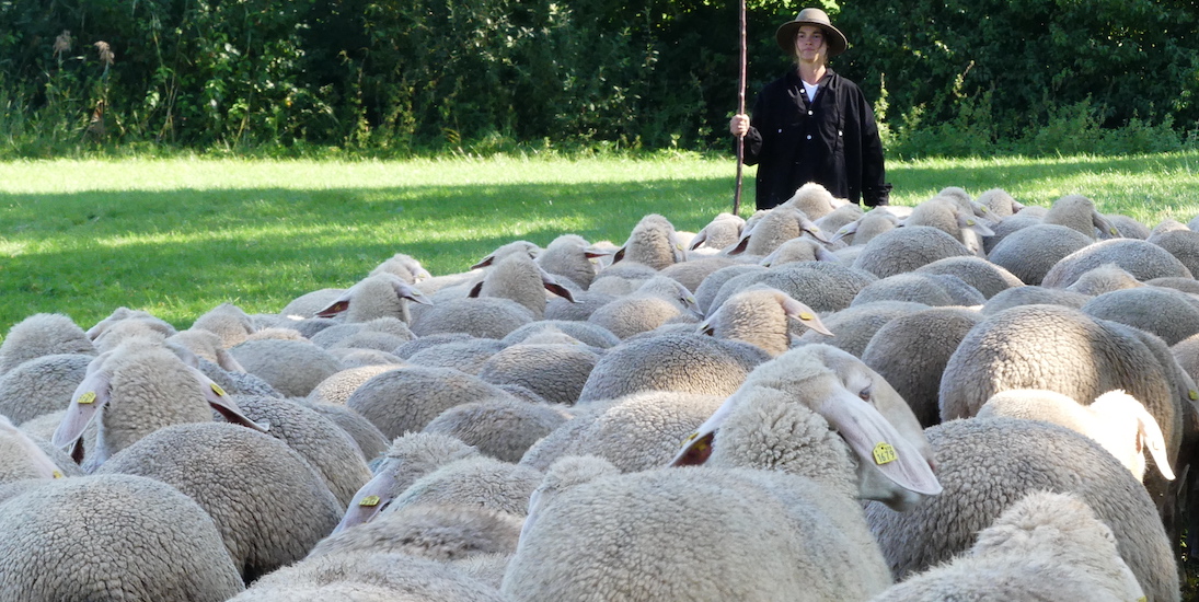 Der Allmächtige auch als Hirte und Gärtner